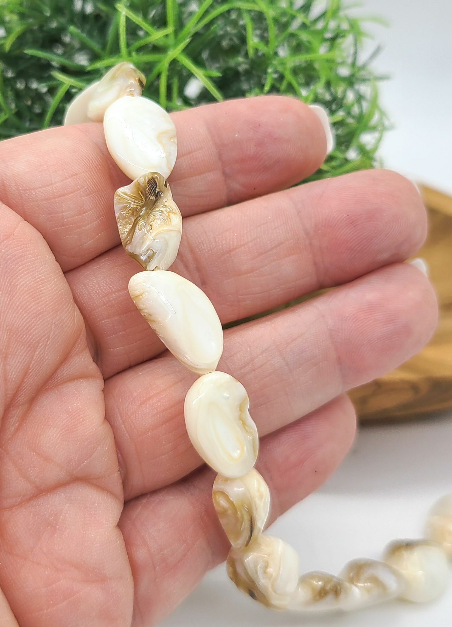 Natural Pearls In Shell