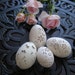 Decorated Goose Egg, Carved Unique Gift, Handcrafted Egg Shell ...
