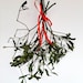 Mistletoe Dried Bunch Great for Kissing Under. Christmas - Etsy