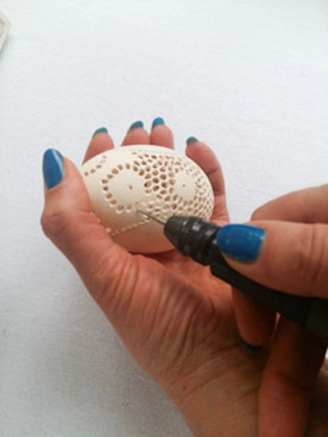 Goose Shell Egg Carved Unique Gift waiting for - Etsy