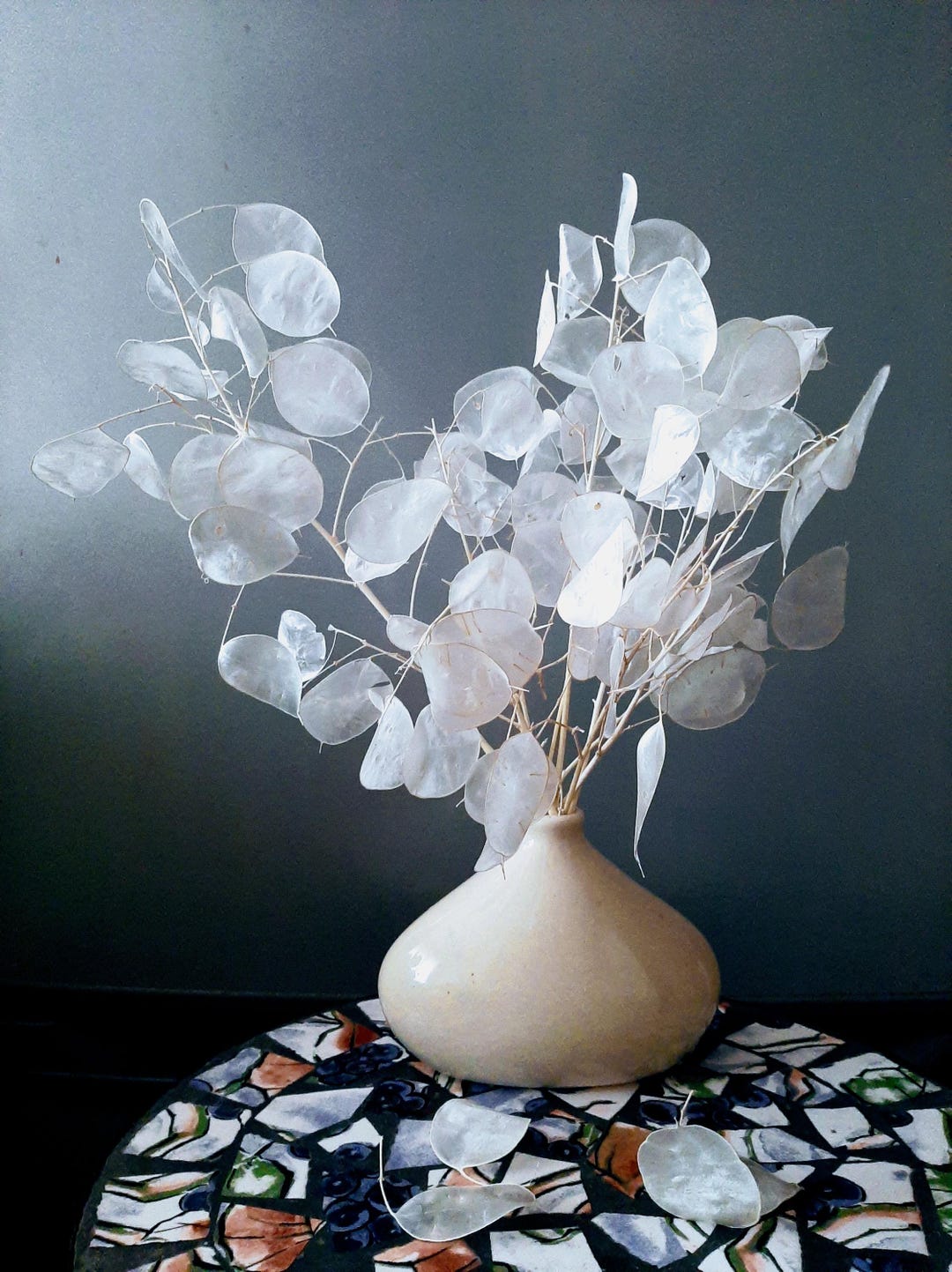 Bleached Lunaria Stems, Dried Honesty Flowers, Silver Dollar Plant - Etsy