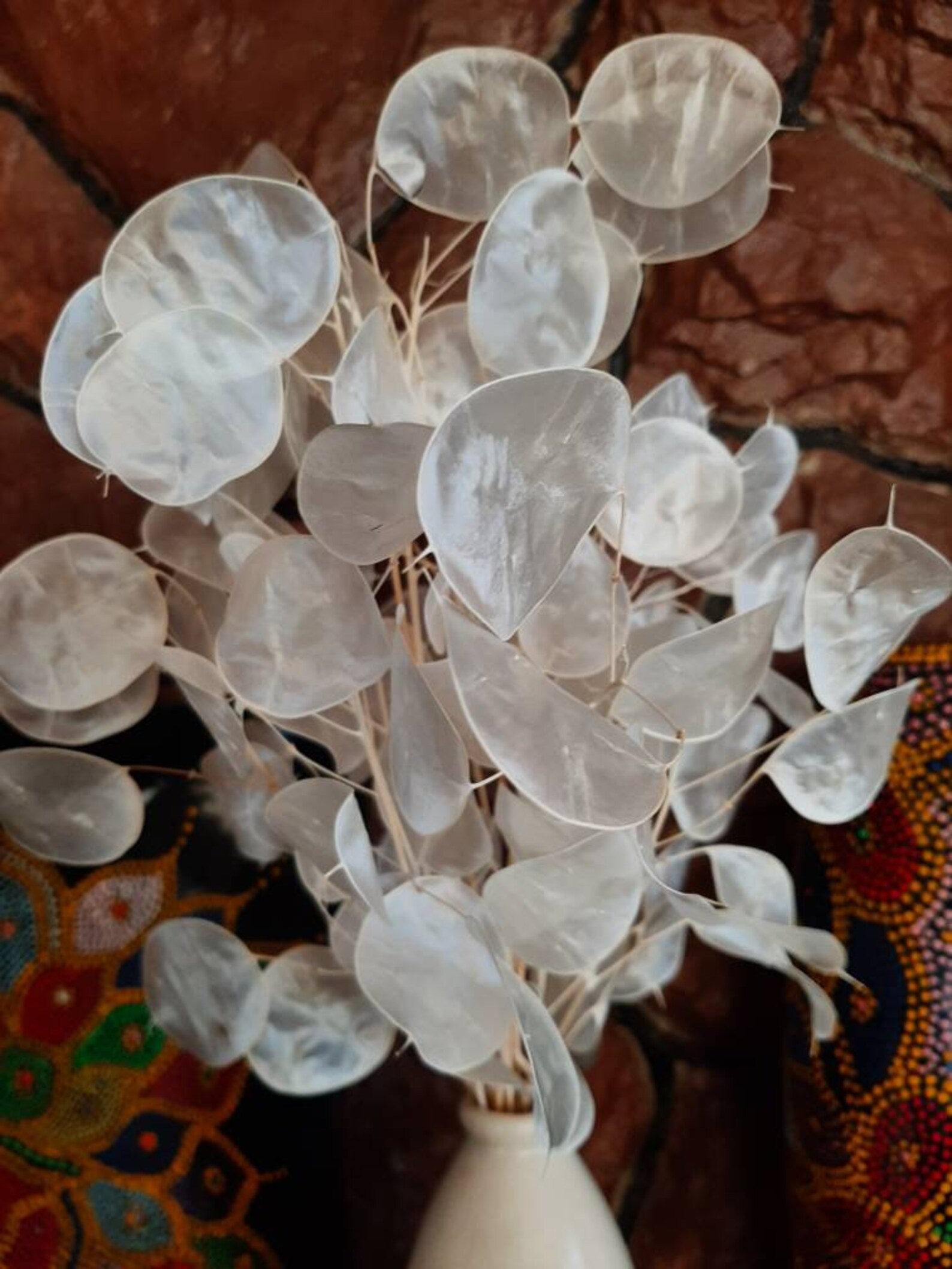 Bleached Lunaria Stems Bundle: Boho Wedding Decor, Silver Dollar Plant ...