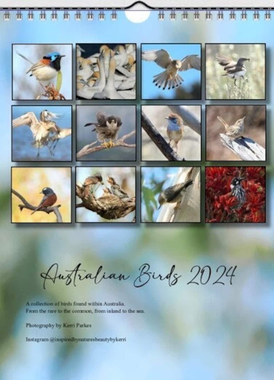 Australian Bird Calendar 2024, A4 Size, With Hanger,21cm X 29.7cm ...