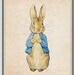 Peter Rabbit Beatrix Potter Character Vintage Illustration Poster Home ...