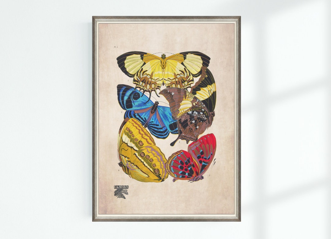 Butterfly Vintage Printable Kids Wall Art Decor Moths Print Insect ...