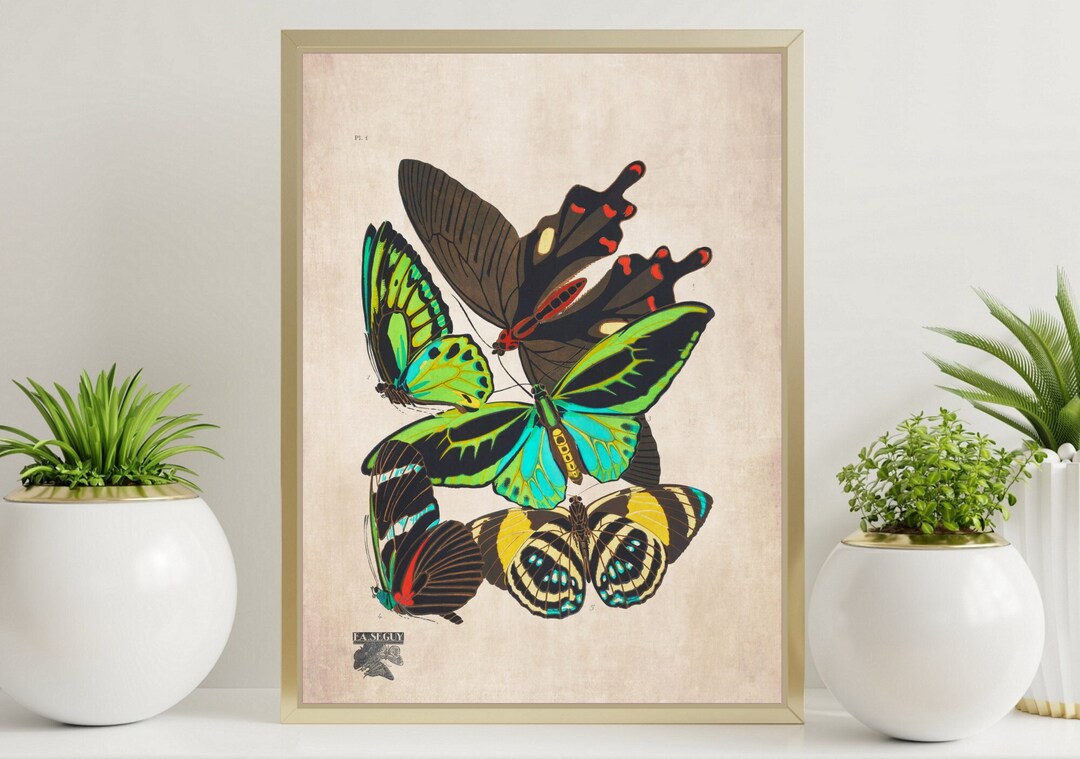Butterfly Vintage Printable Home Decor Poster Nursery Kids Wall Art ...
