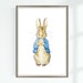 Peter Rabbit Beatrix Potter Character Vintage Illustration Poster Home ...