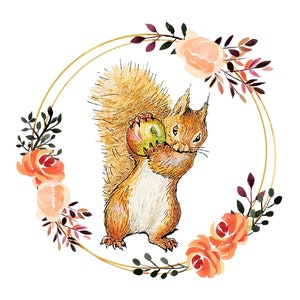 The Tale of Squirrel Nutkin Peter Rabbit Beatrix Potter Character ...