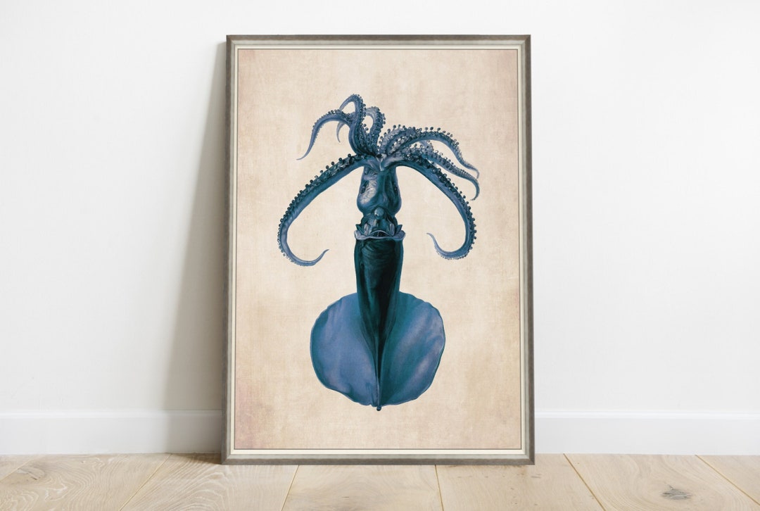 Squid Poster Octopus Print Vintage Natural History Poster Nautical ...