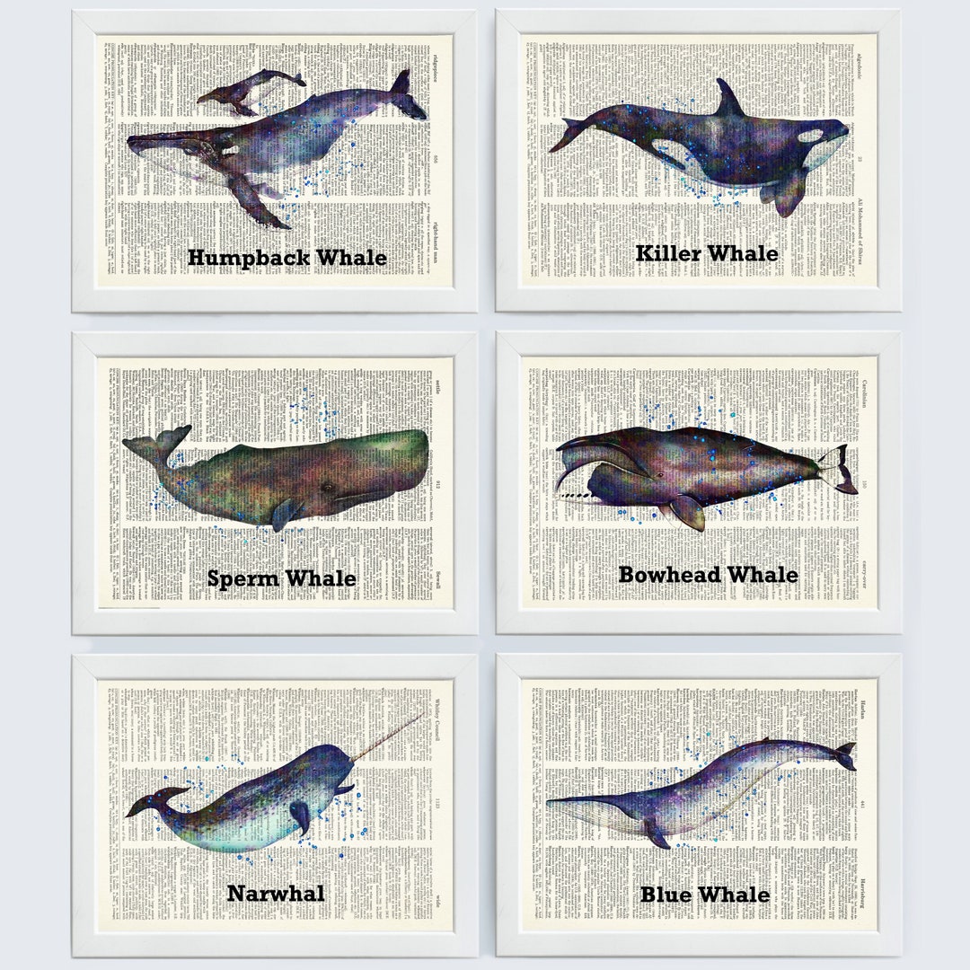 Whales Poster Themed Old Dictionary Print 8x10 Set of 6 Vintage Poster ...