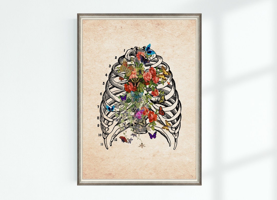Floral Rib Cage Anatomy Poster Butterfly Print Medical Clinical Biology ...