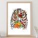 Rib Cage Flowers Anatomy Poster Butterfly Print Medical Clinical ...