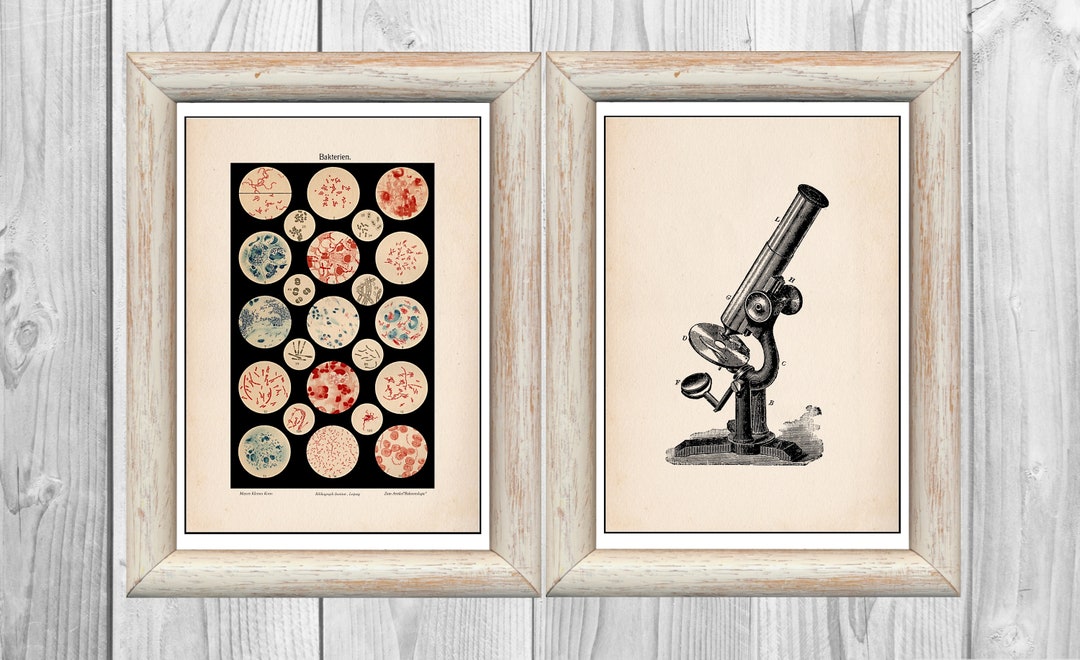Set of 2 Microbiology Bacteria Microscope Microbe Poster History Old ...