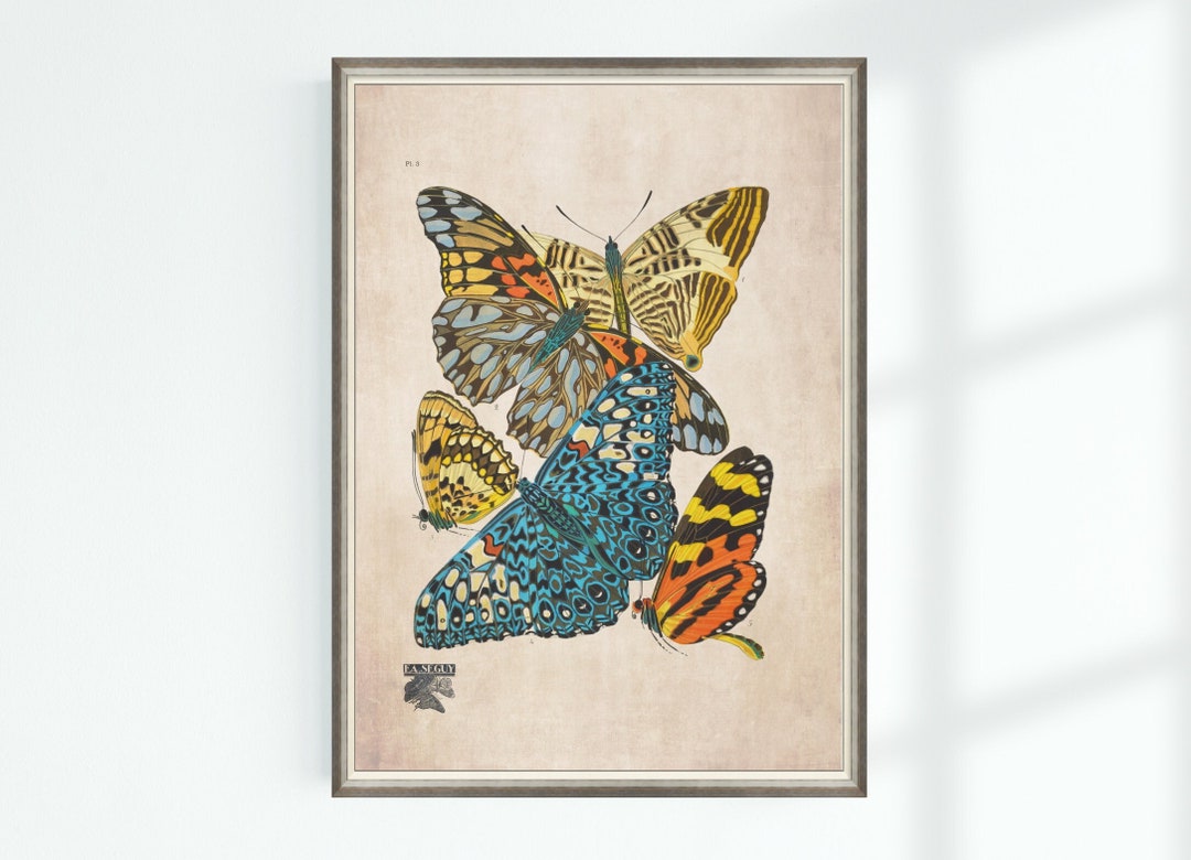 Butterfly Vintage Printable Insect Decor Poster Moths Print Nursery ...
