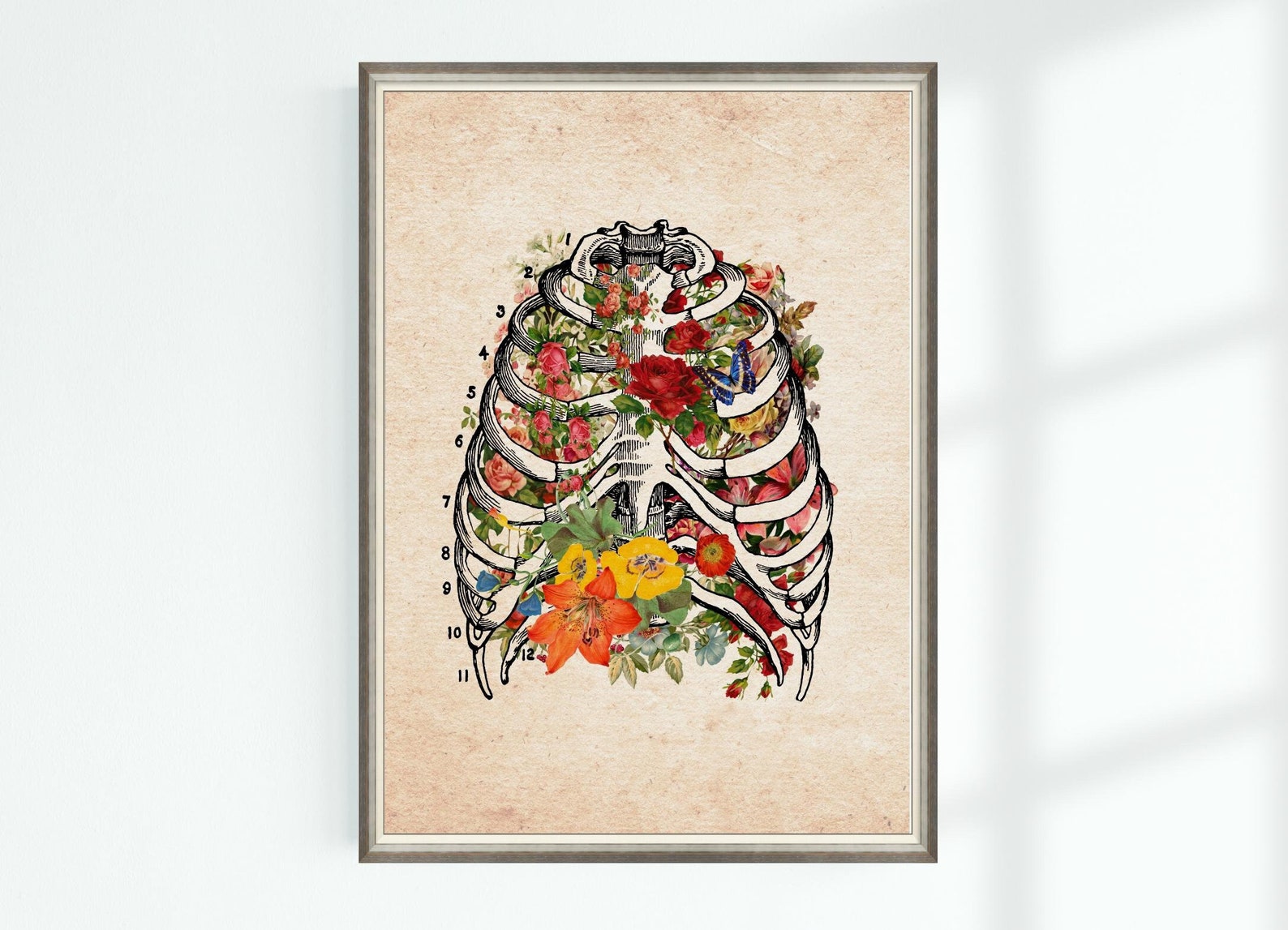 Rib Cage Flowers Anatomy Poster Butterfly Print Medical - Etsy