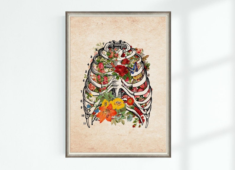 Rib Cage Flowers Anatomy Poster Butterfly Print Medical - Etsy