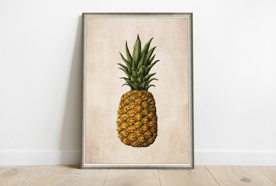 Ananas Poster Vintage botanische Gemüse Obst Küche druckbare Wand Kunst ...