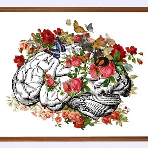 Brain Flower Anatomy Poster Butterfly Print Medical Clinical Biology ...