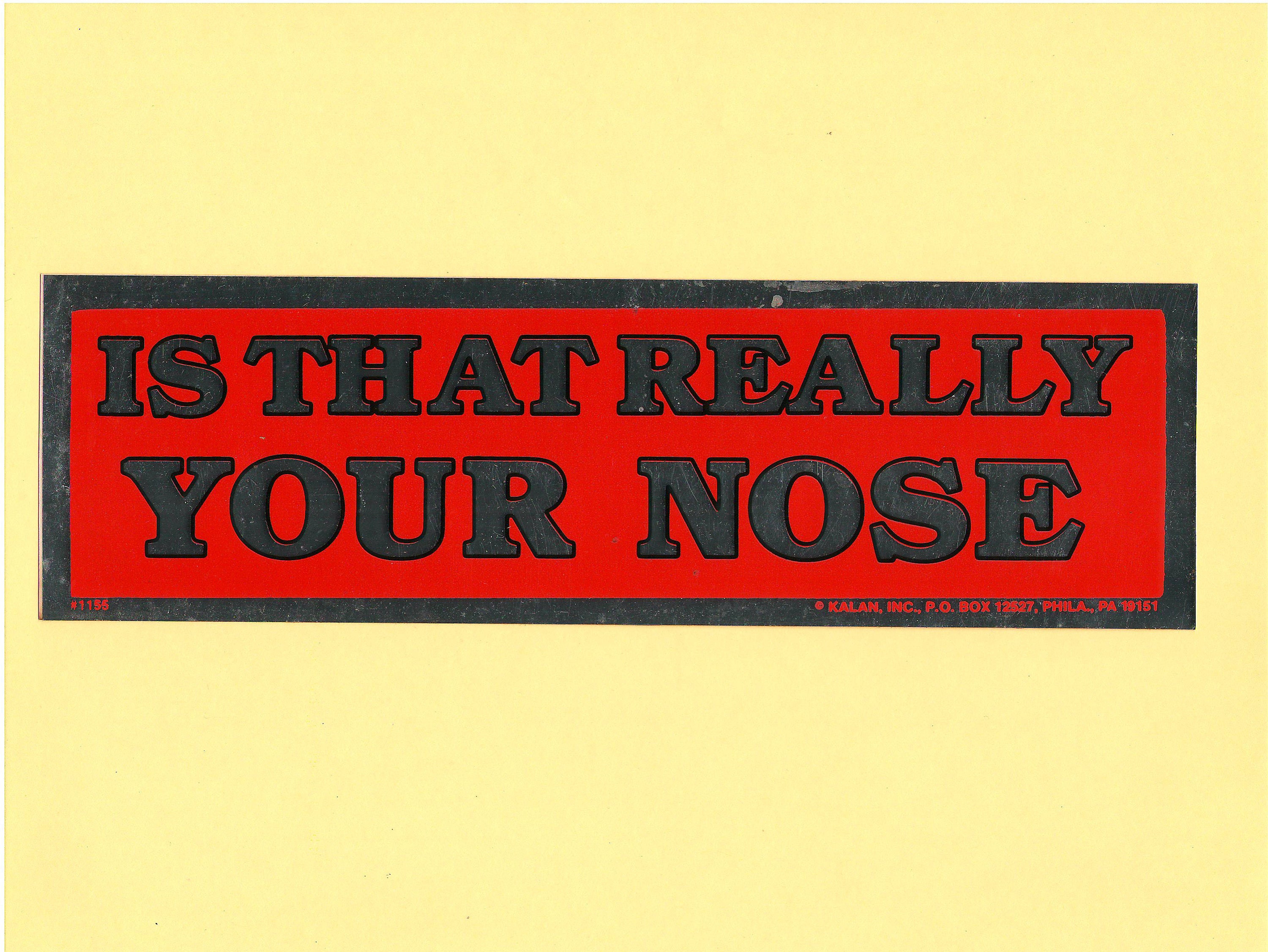 Is That Really Your Nose Bumper Sticker, Metallic, Adult Humor Retro ...