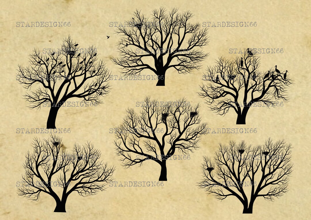 Digitale SVG PNG JPG Alberi, Silhouette, Vettore, Clipart, Download ...