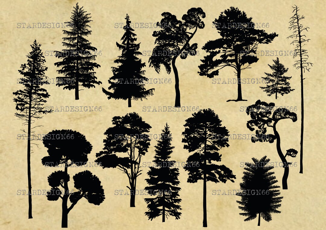 Digitale SVG PNG JPG Alberi, Silhouette, Vettore, Clipart, Download ...