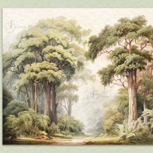 Summer Forest Journal Pages, Printable Nature Journal, Trees Collage ...