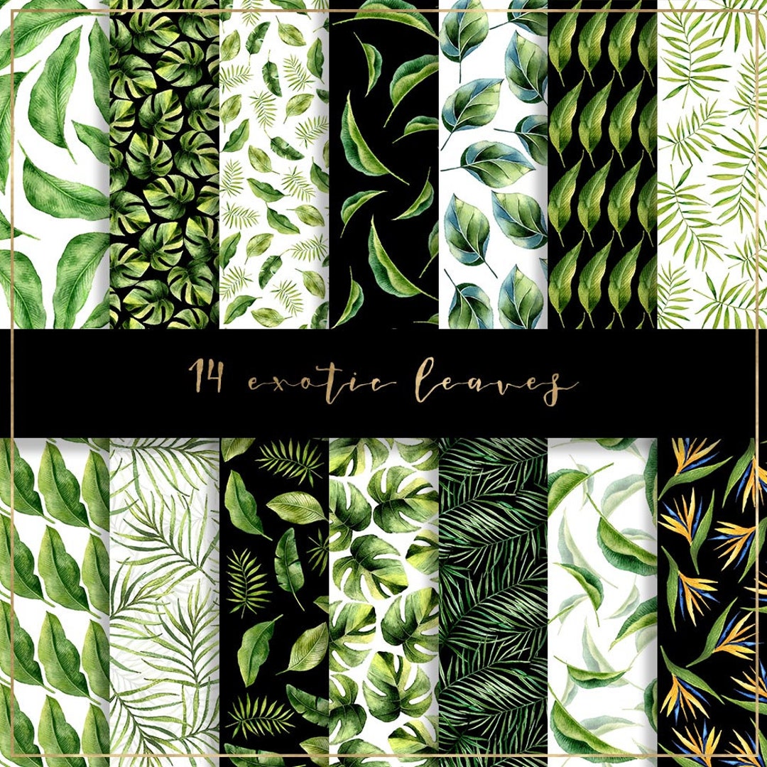 Exotic Leaves Digital Paper, Tropical Leaves Paper, Tropical Digital ...