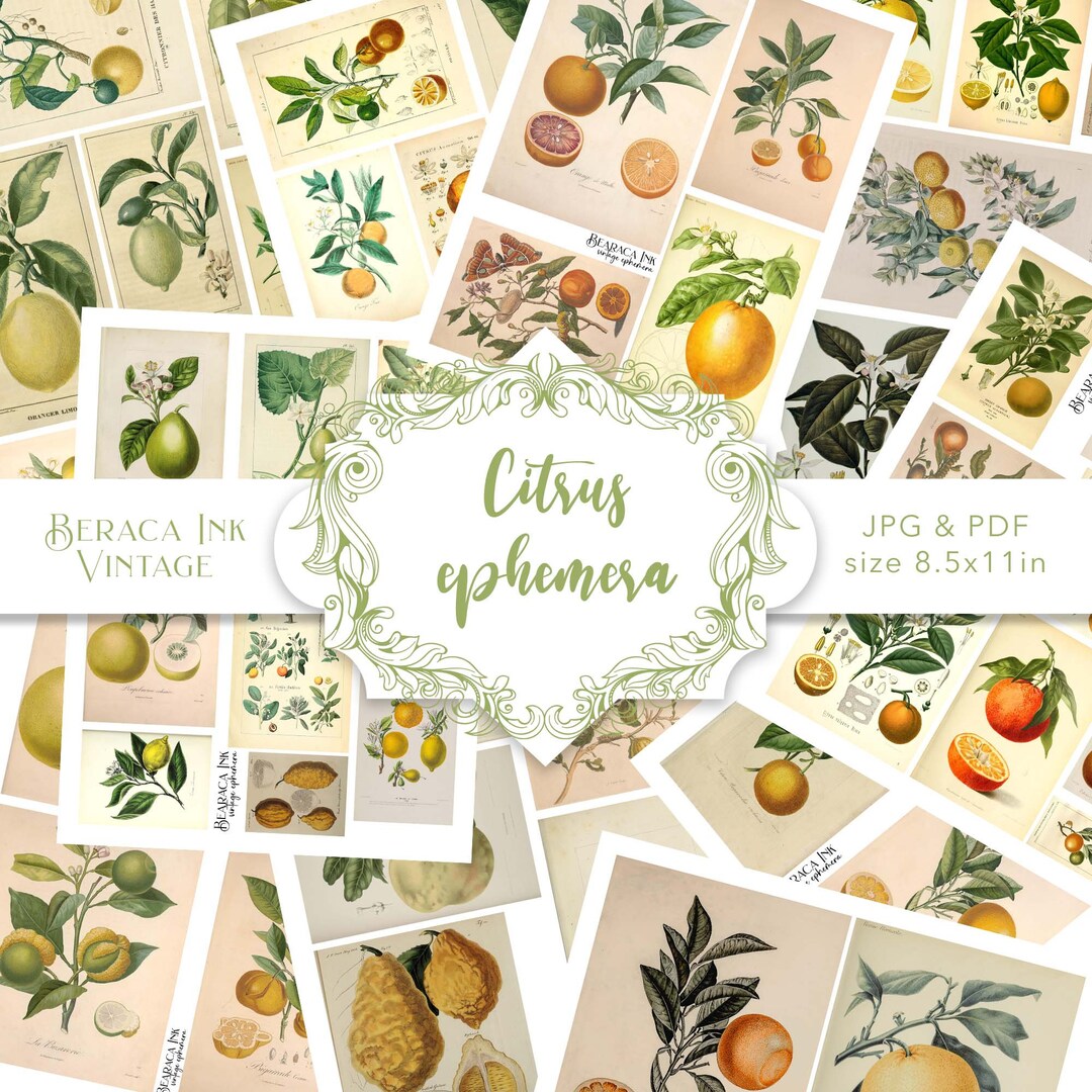 Citrus Ephemera Digital Download, Printable Vintage Paper, Lemon Junk ...