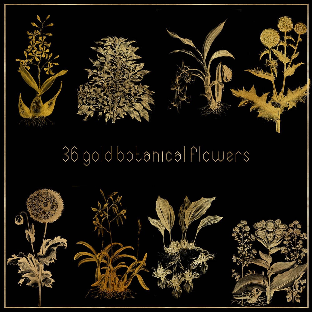 Gold Botanical Clipart Gold Botanical Leaves Clipart - Etsy