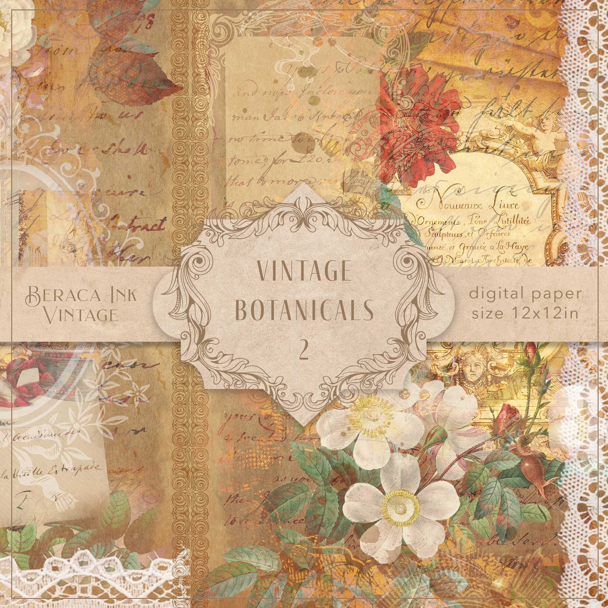Vintage Botanicals Digital Paper 2 Antique Paper Ephemera - Etsy