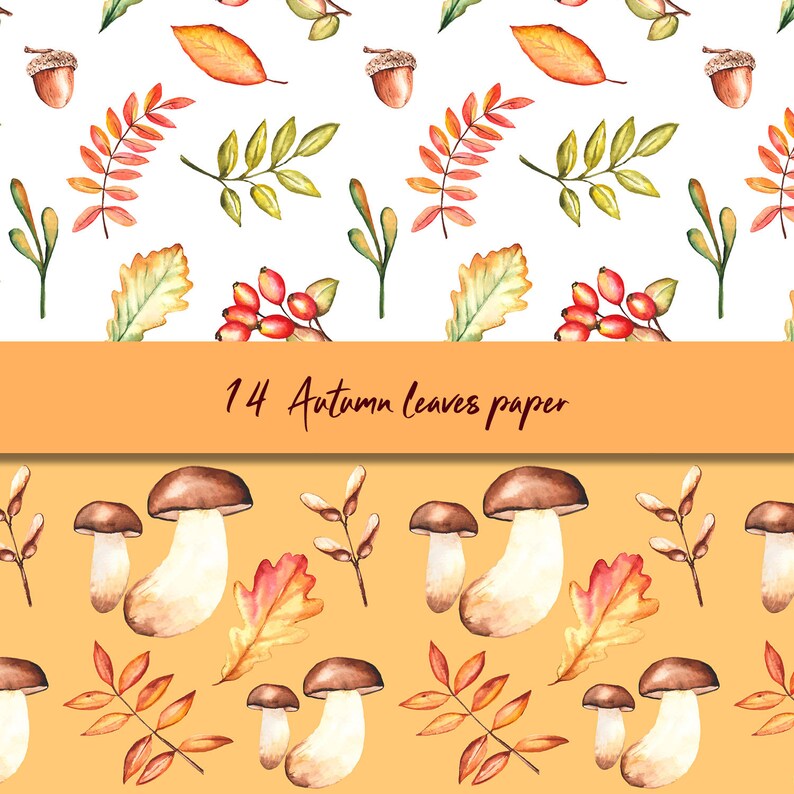 Autumn Leaves Digital Paper, Watercolor Autumn Paper, Cotton Flower ...