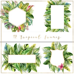 Tropical Frames Clipart, Tropical Leaves Frames, Gold Frame, Tropical ...