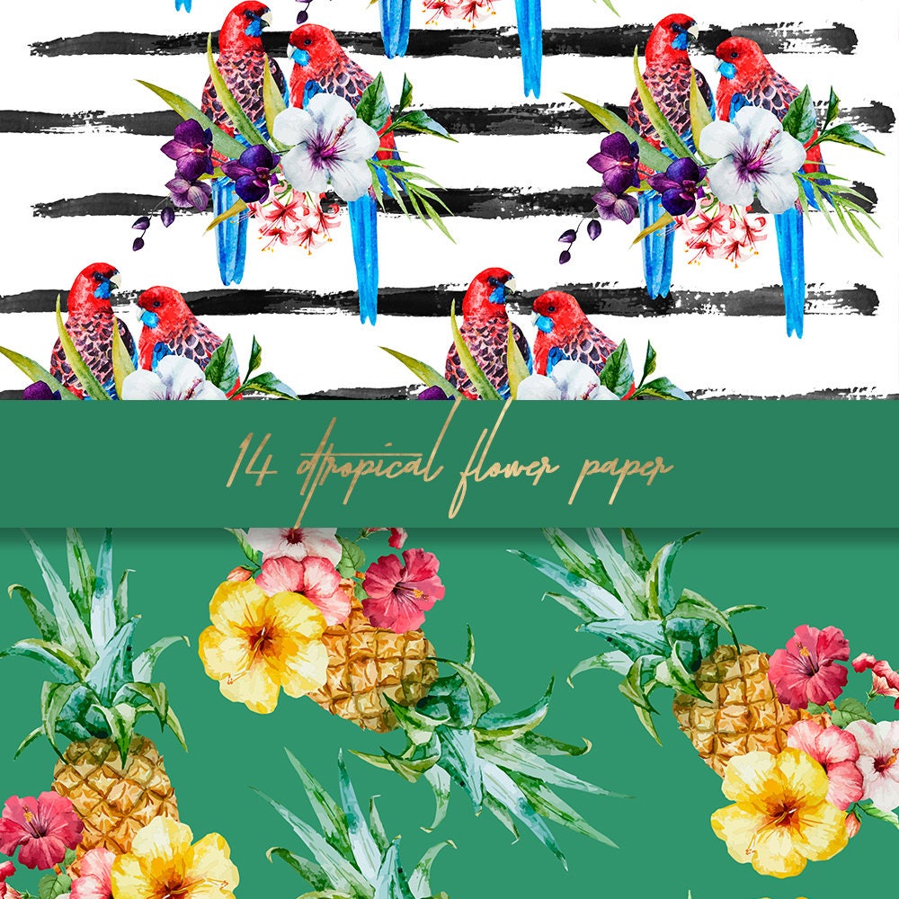 Tropical Digital Paper Summer Digital Paper Flower Paper - Etsy