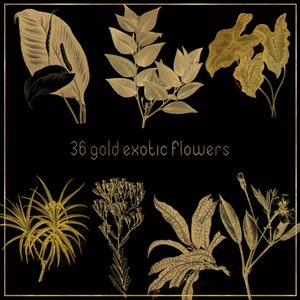 Gold Exotic Clipart, Gold Botanical Flowers Clipart, Tropical Clipart ...