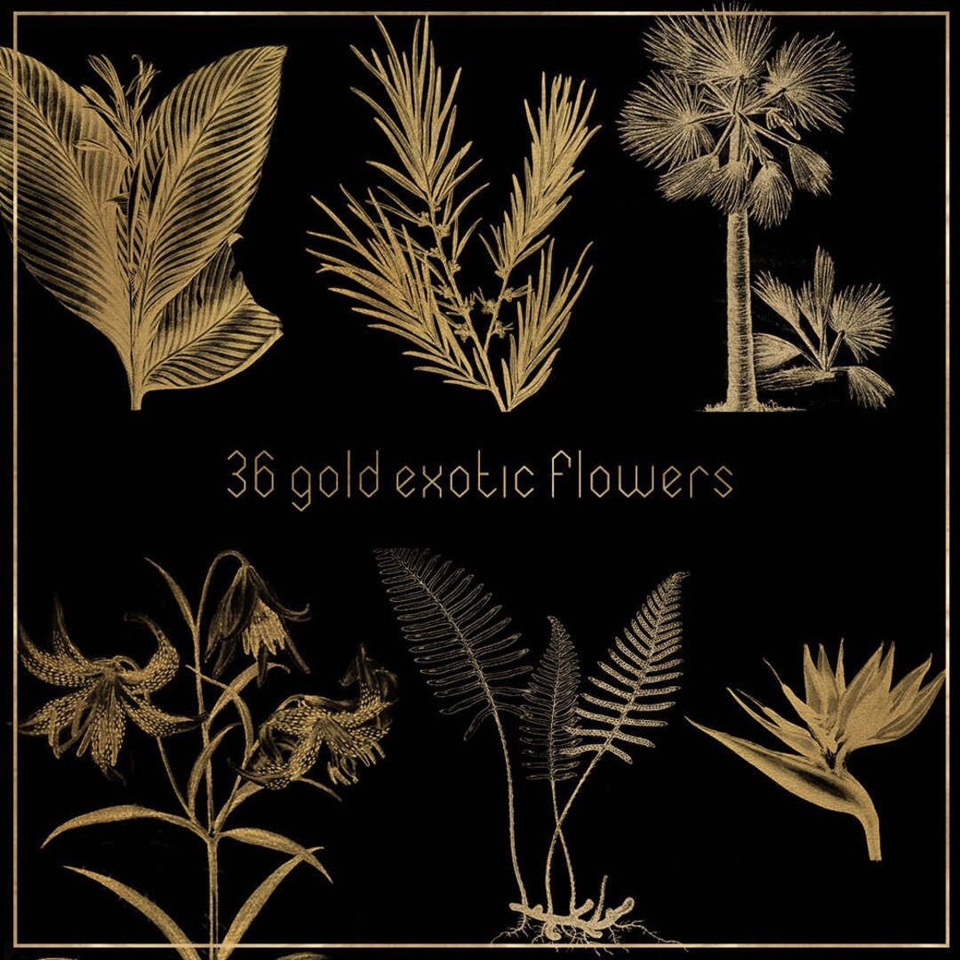 Gold Exotic Clipart, Gold Botanical Flowers Clipart, Tropical Clipart ...