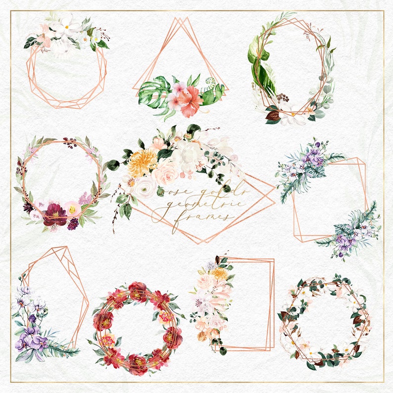 Flower Geometric Frames Clipart Watercolor White Flower | Etsy