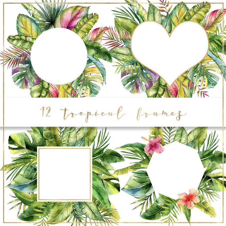 Tropical Frames Clipart Tropical Leaves Frames Gold Frame - Etsy