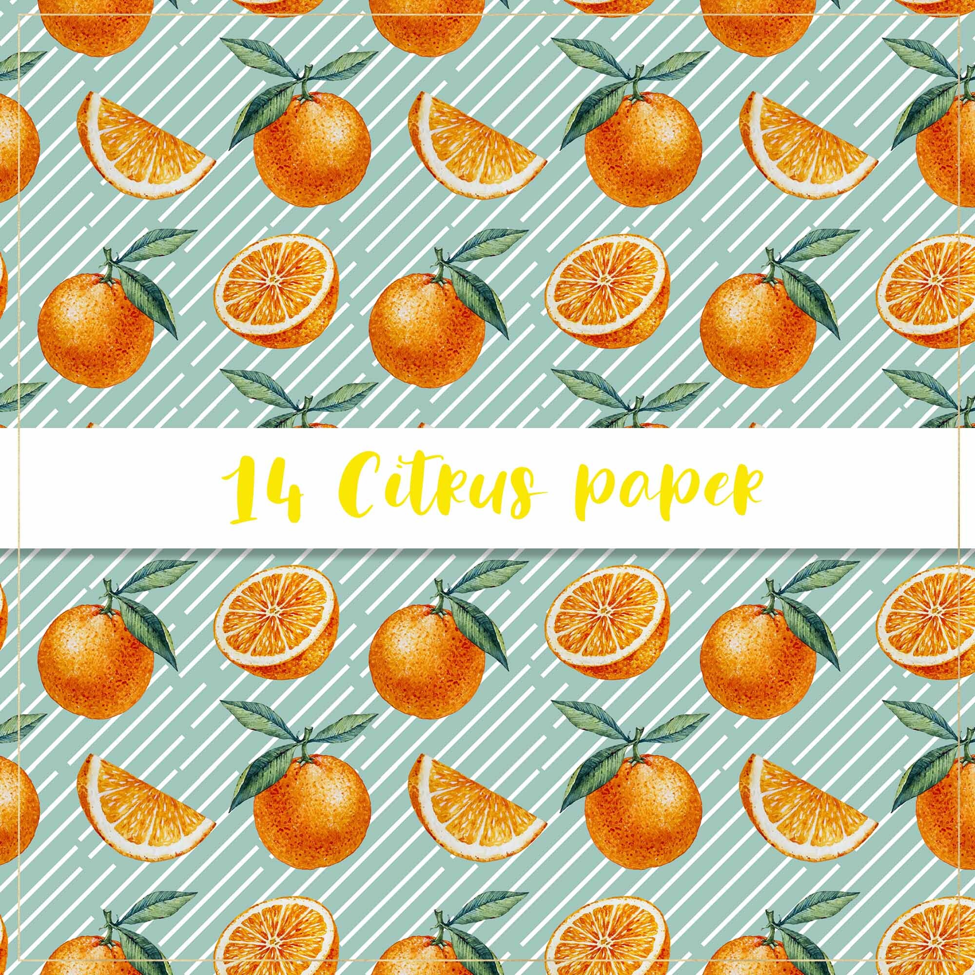 Citrus Digital Paper Seamless Pattern Lemon Paper Orange - Etsy