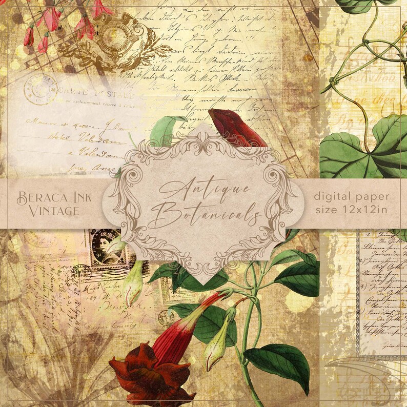 Antique Botanicals Digital Paper, Vintage Paper, Old Letter, Ephemera ...