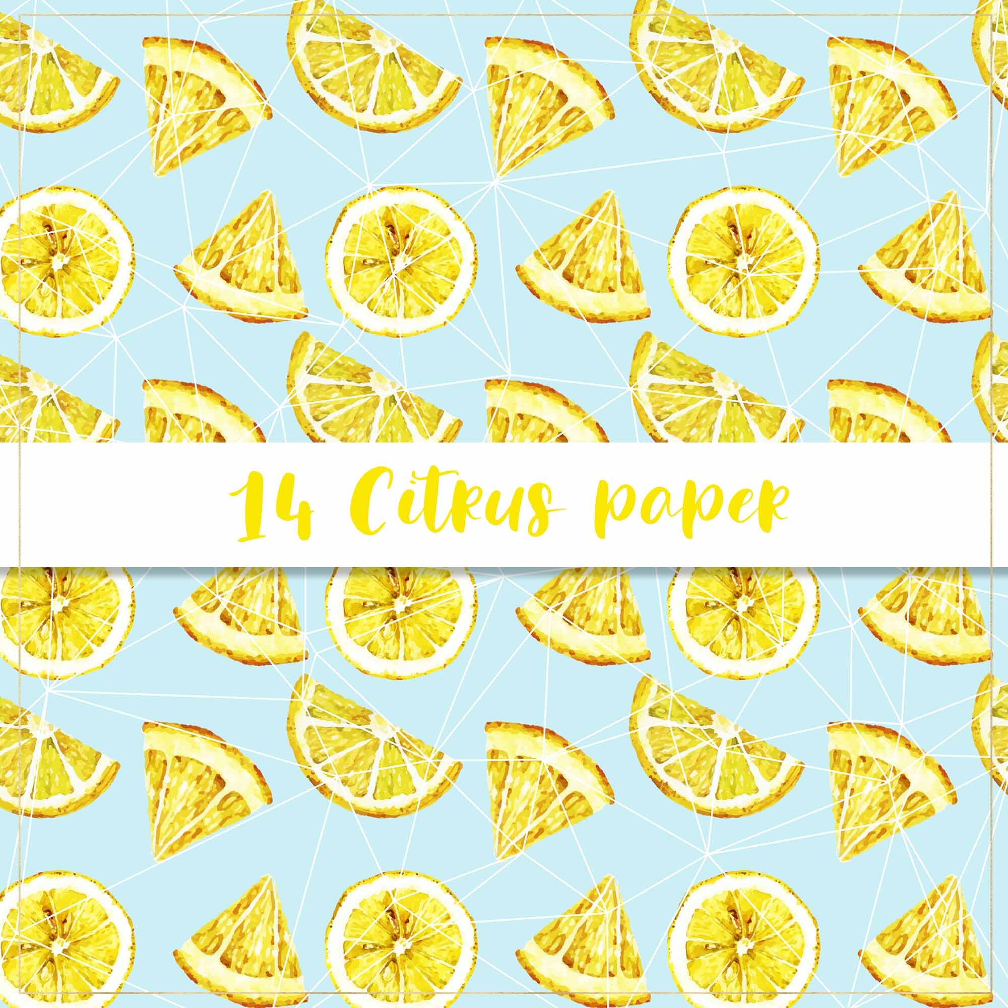 Citrus Digital Paper Seamless Pattern Lemon Paper Orange - Etsy
