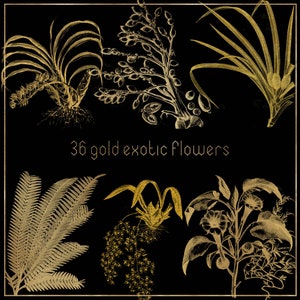 Gold Exotic Clipart, Gold Botanical Flowers Clipart, Tropical Clipart ...