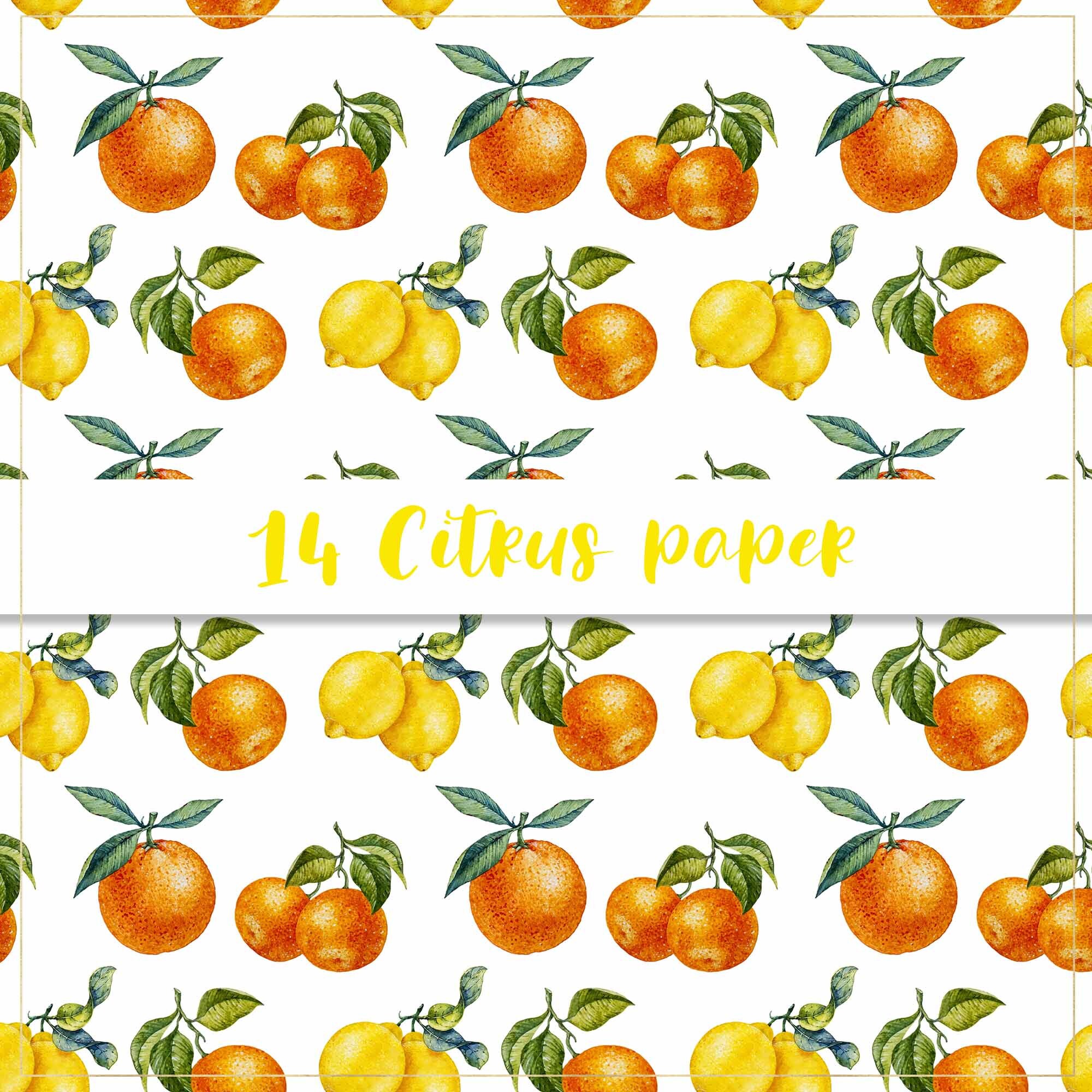 Citrus Digital Paper Seamless Pattern Lemon Paper Orange - Etsy