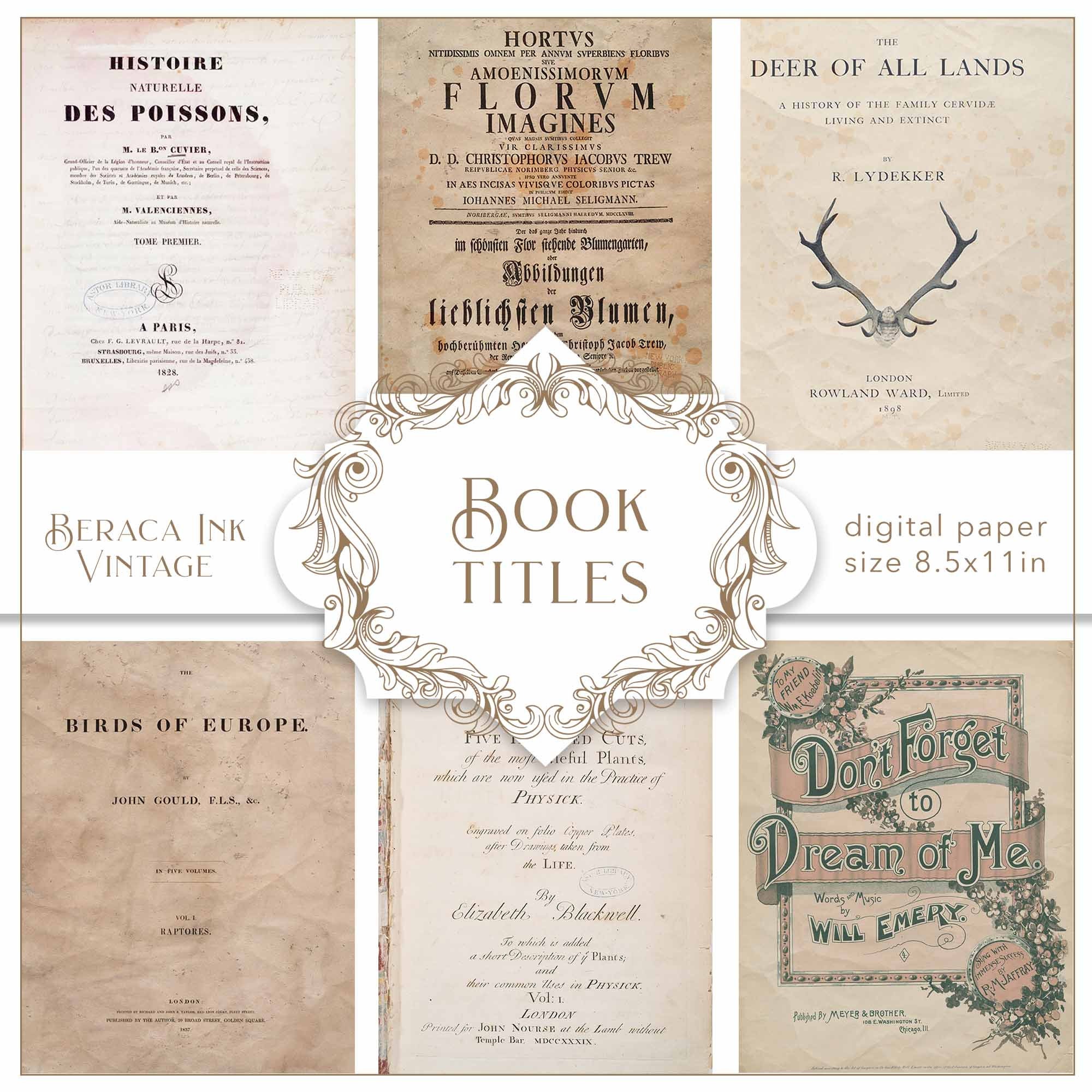 Book Titles Digital Paper Vintage Paper Grunge Wallpaper - Etsy