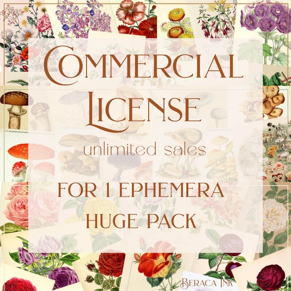 Ephemera Paper Pack - Etsy