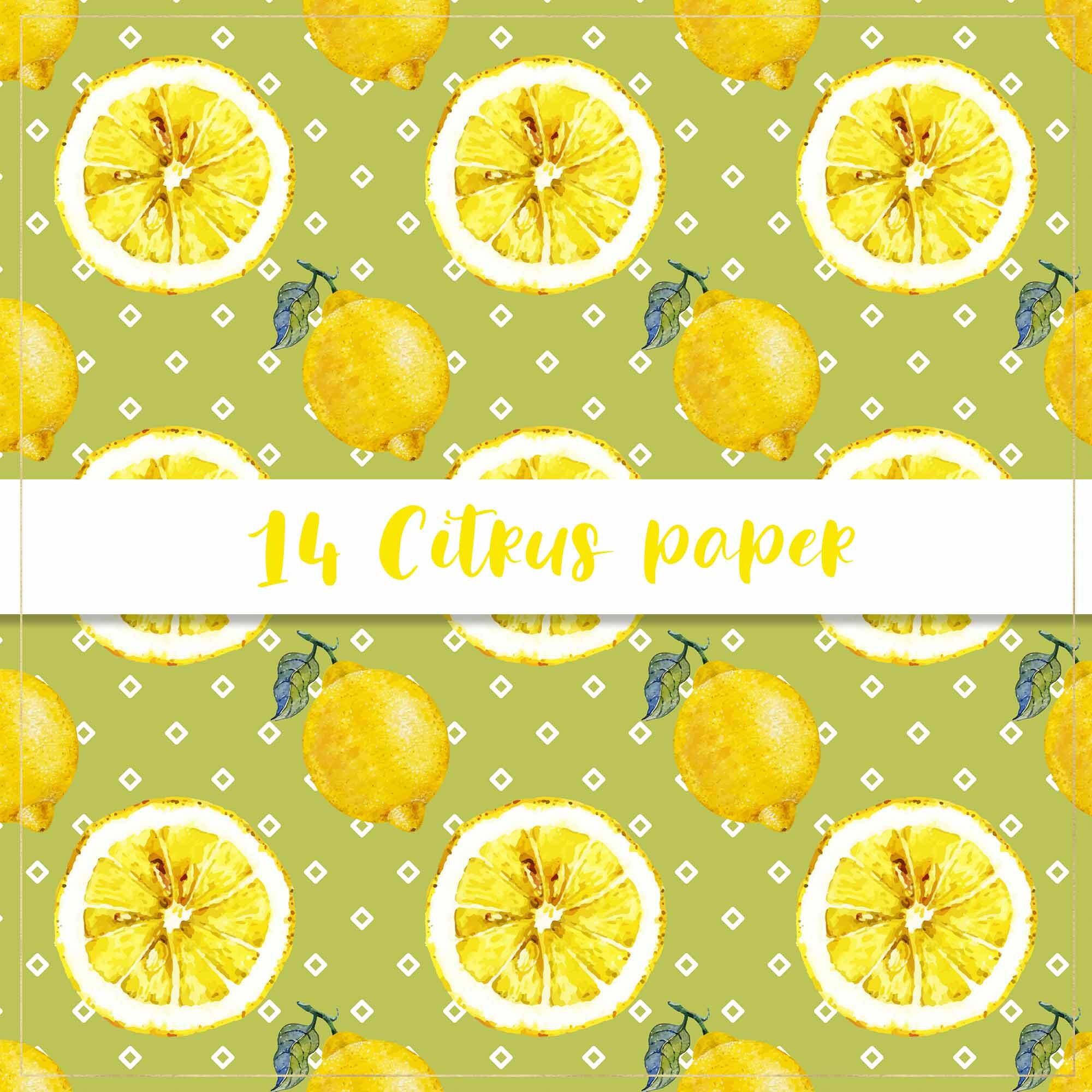 Citrus Digital Paper Seamless Pattern Lemon Paper Orange - Etsy