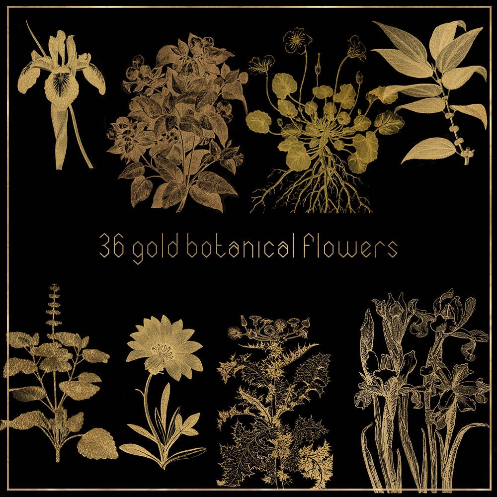 Gold Botanical Clipart Gold Botanical Leaves Clipart - Etsy