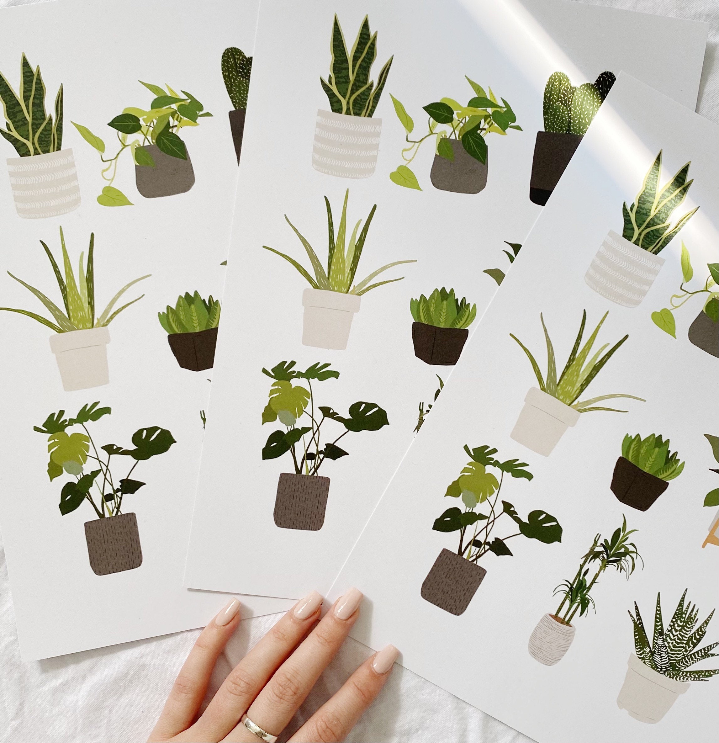 House Plant Print Download House Plants Botanical Print - Etsy