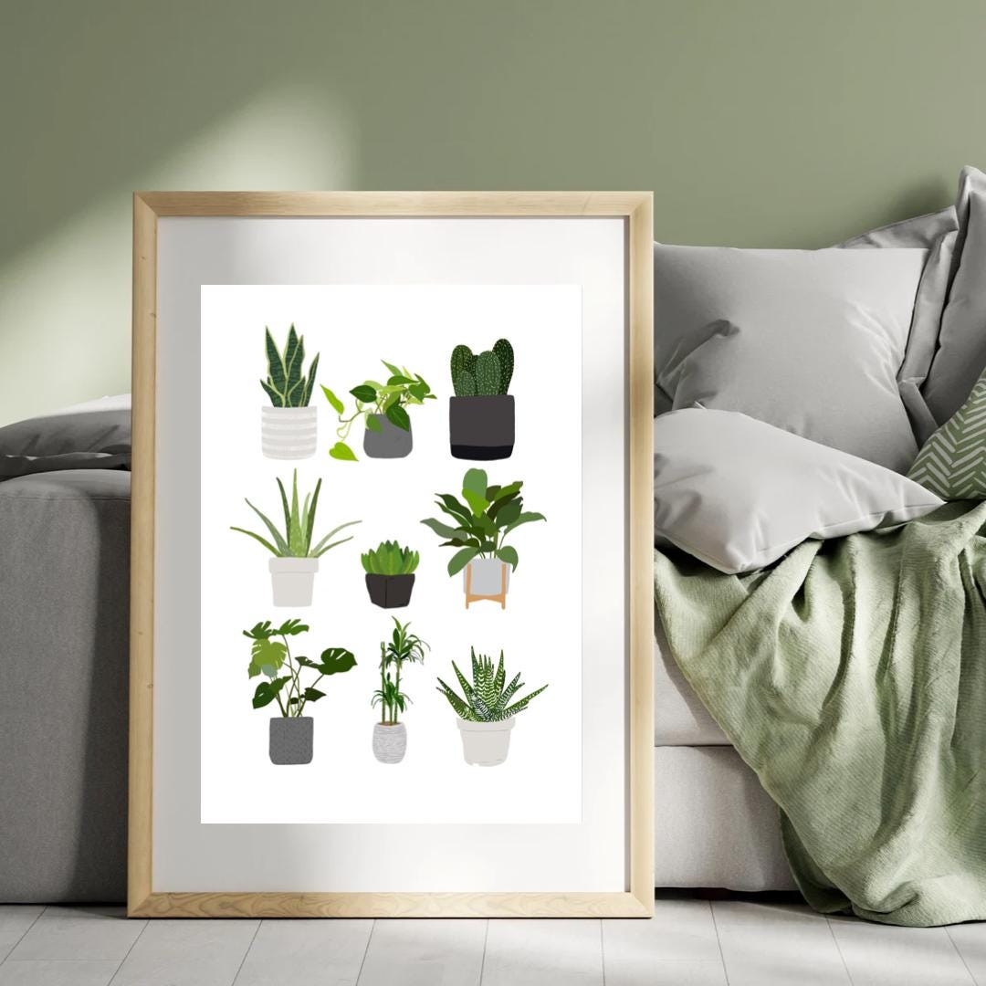 House Plant Print - Download | House Plants | Botanical Print | Wall ...