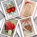 Christmas/ Holiday/ Winter/ Snow Notecards Cards/ Vintage Image/ Boxed ...