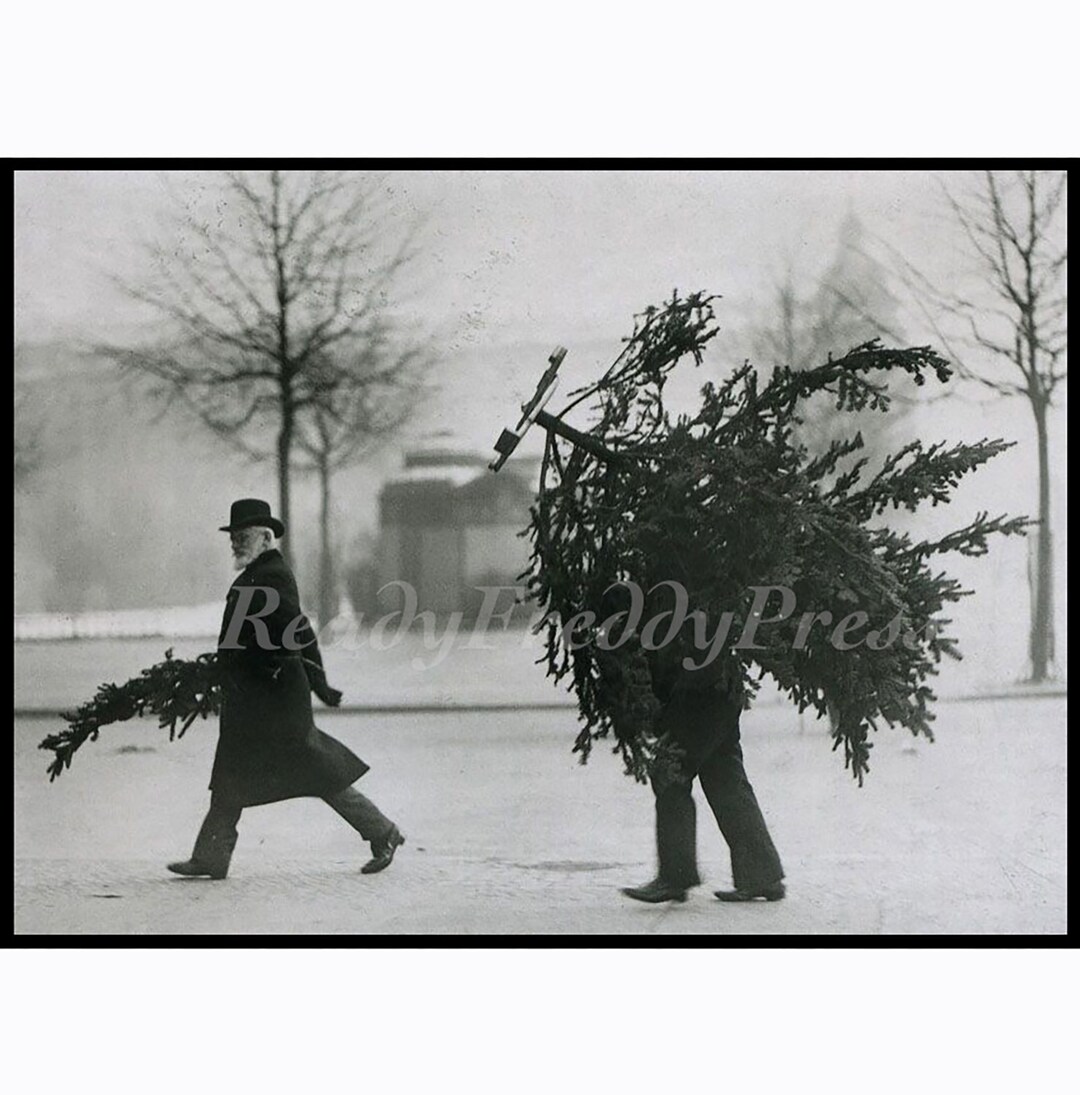 Notecard Christmas/ Vintage Image /two Gentlemen/ Two Trees/ Big ...